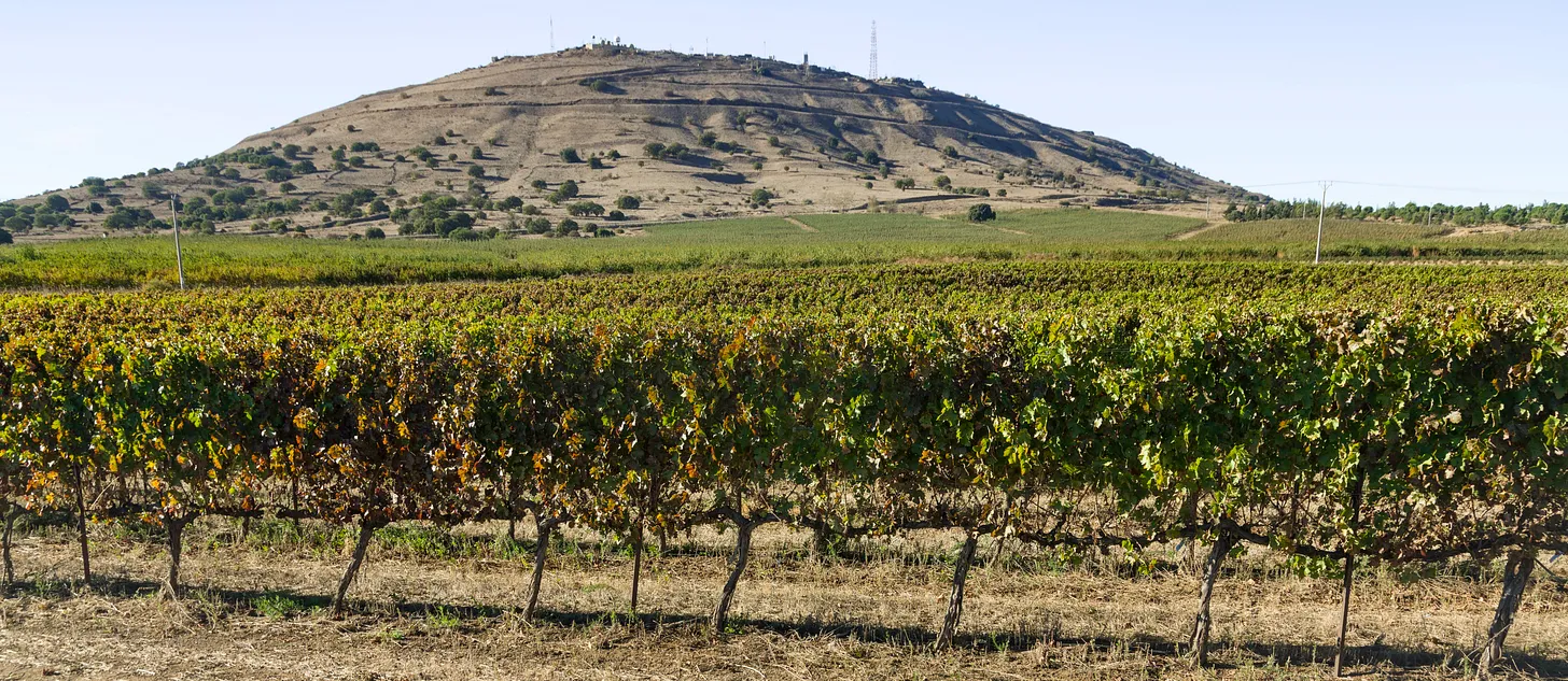 Develop the Golan or Lose It - michaeloren.org